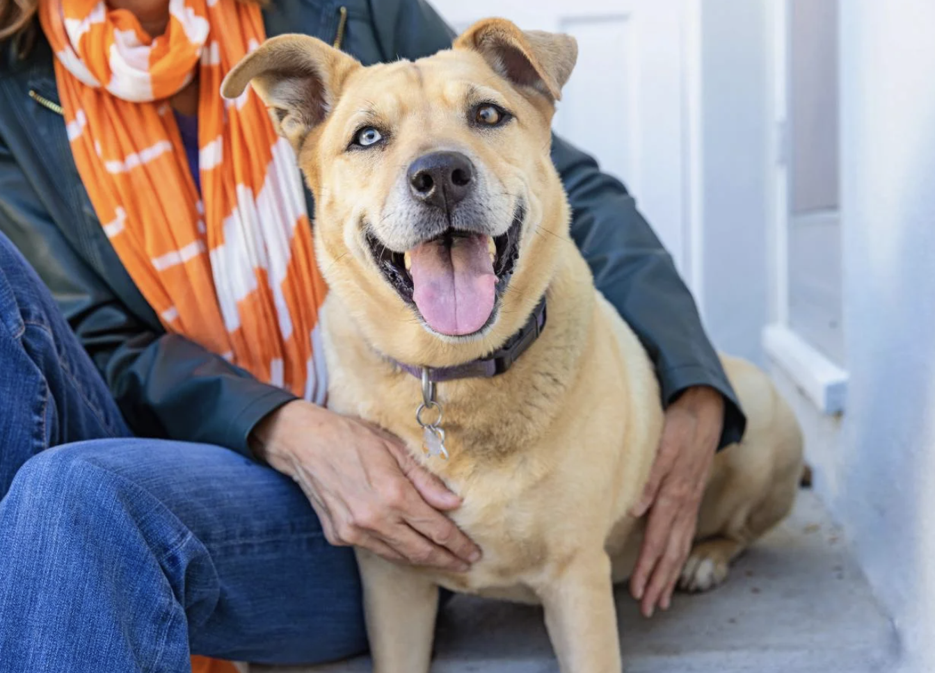 Best Ever Cause: Best Friends Animal Society