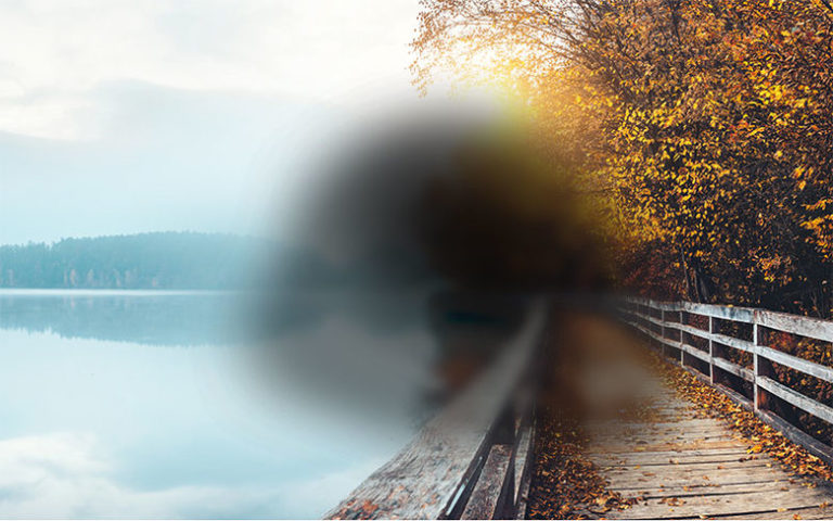 BrightFocus Foundation