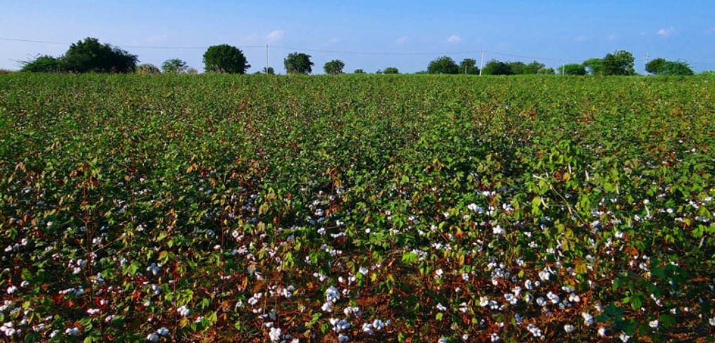 Raw Land Investing: How to Sell Raw Land at a Profit | BestEverCRE